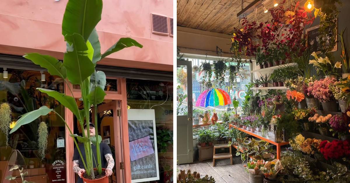The Best Plant Shops In Manchester To Get Some Green In Your Life