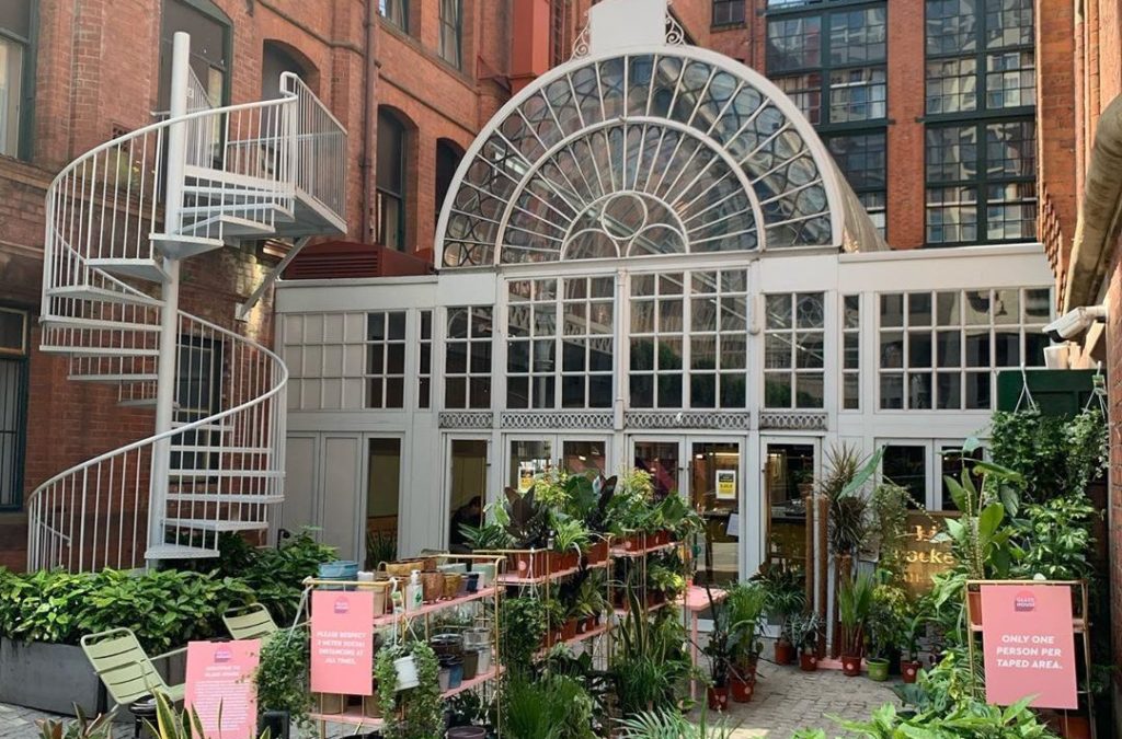 The Best Plant Shops In Manchester - Secret Manchester