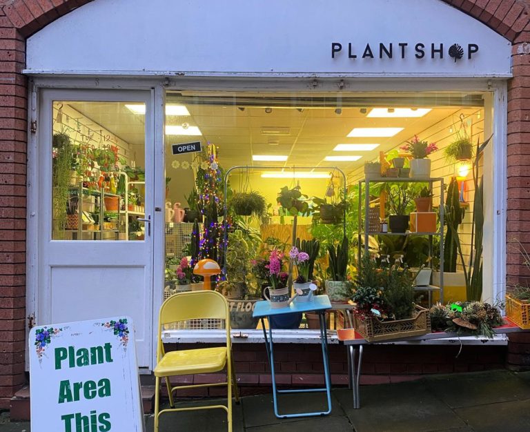 The Best Plant Shops In Manchester To Get Some Green In Your Life
