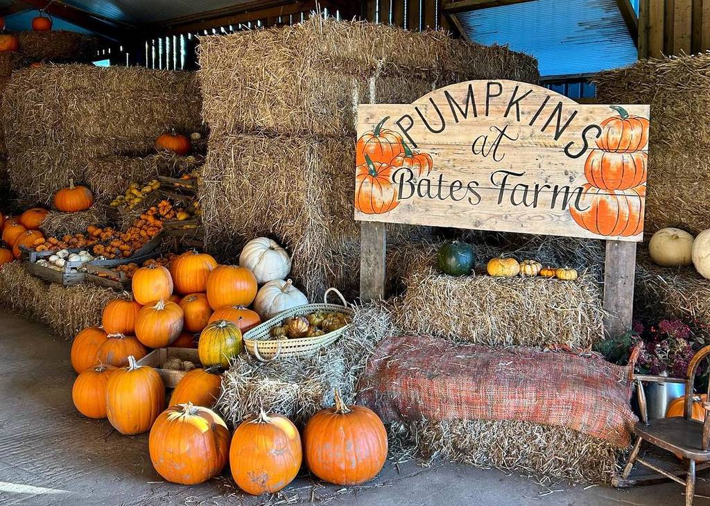 The Best Pumpkin Patches Near Manchester Full Of Spooky Spirit