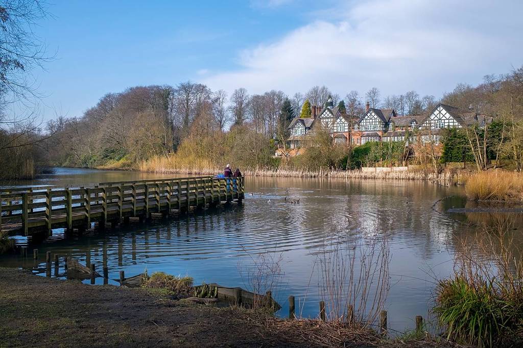 8 Of The Most Wonderful Woodland Walks In And Around Manchester To ...