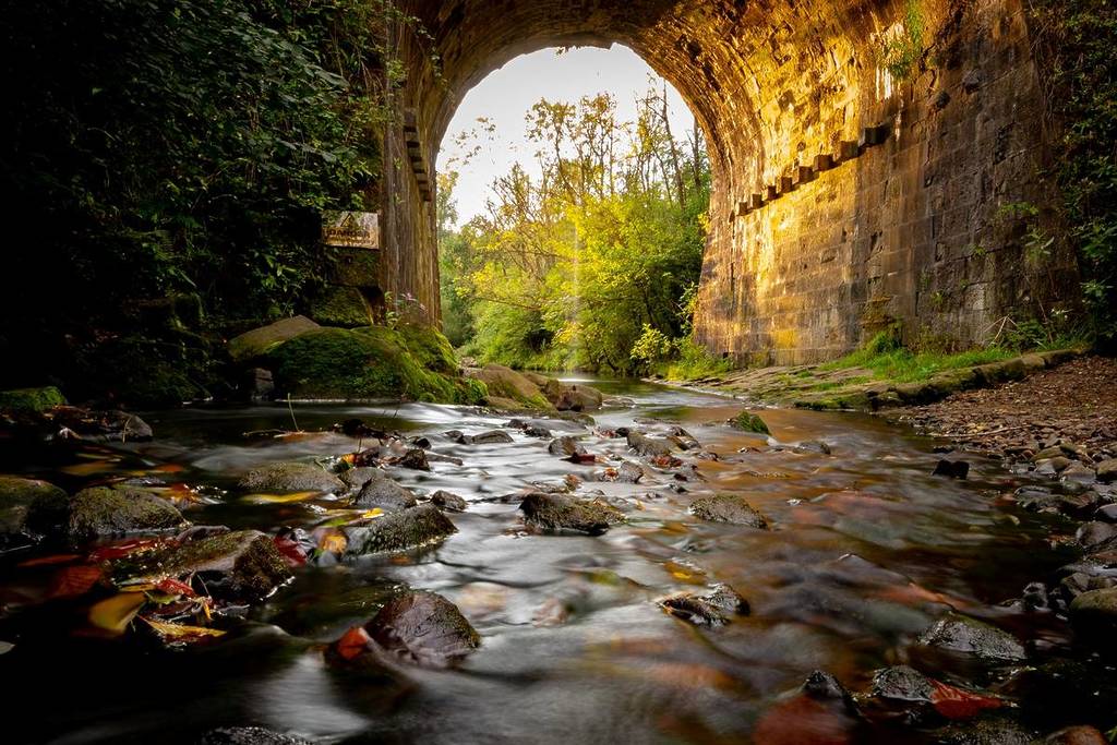 8 Of The Most Wonderful Woodland Walks In And Around Manchester To ...