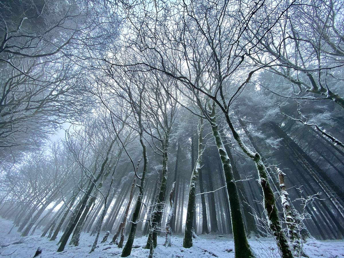 The Best Winter Walks In And Around Manchester