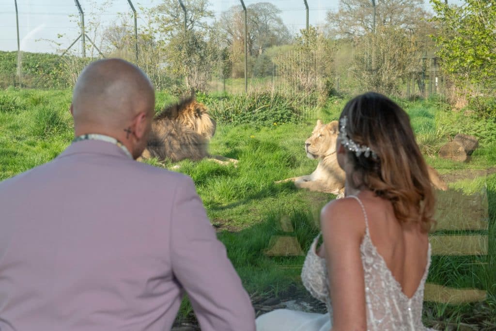 Wed Amongst Wildlife At The New Wedding Venue At Chester Zoo