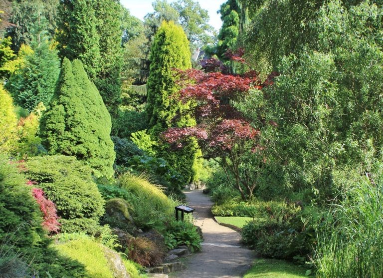 The Best Parks And Gardens To Visit In And Around Manchester