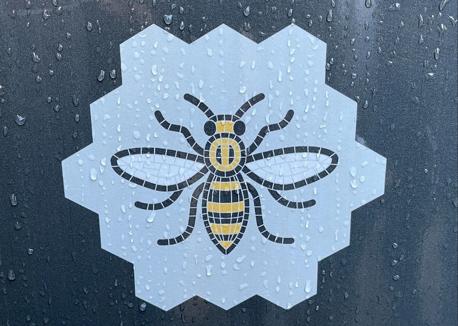 Why Are There So Many Bees In Manchester?