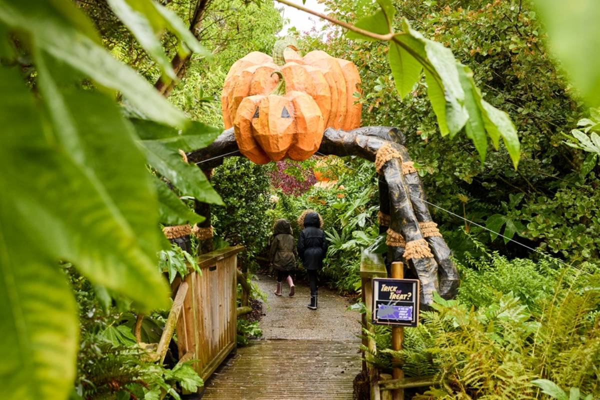 A Halloween-Themed Pumpkin Trail Is Coming To Chester Zoo