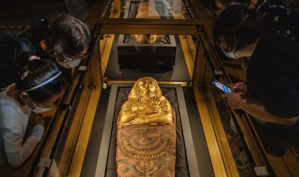 The Secret Manchester Guide To Manchester Museum