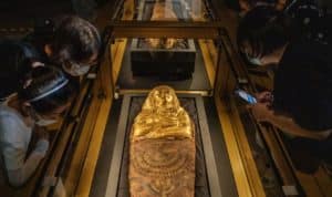 The Secret Manchester Guide To Manchester Museum