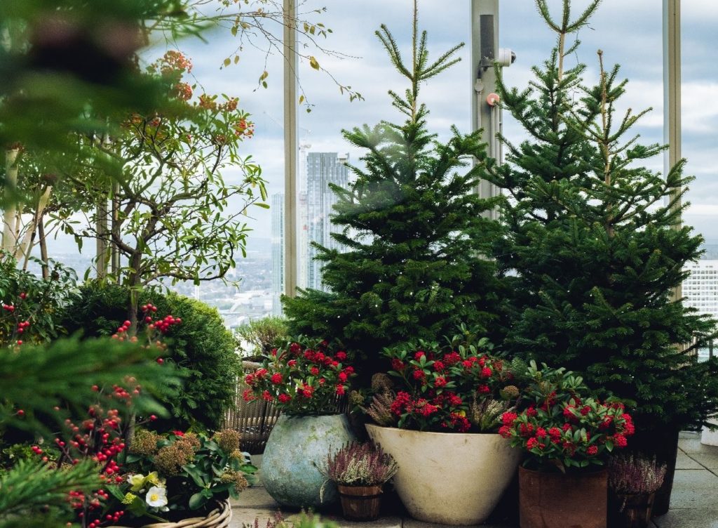 20 Stories Launches An Enchanted Forest-Themed Winter Terrace