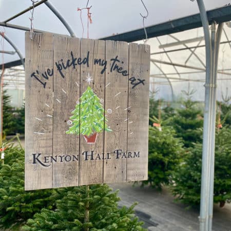 18 Of The Best Places To Buy Real Christmas Trees In And Around ...