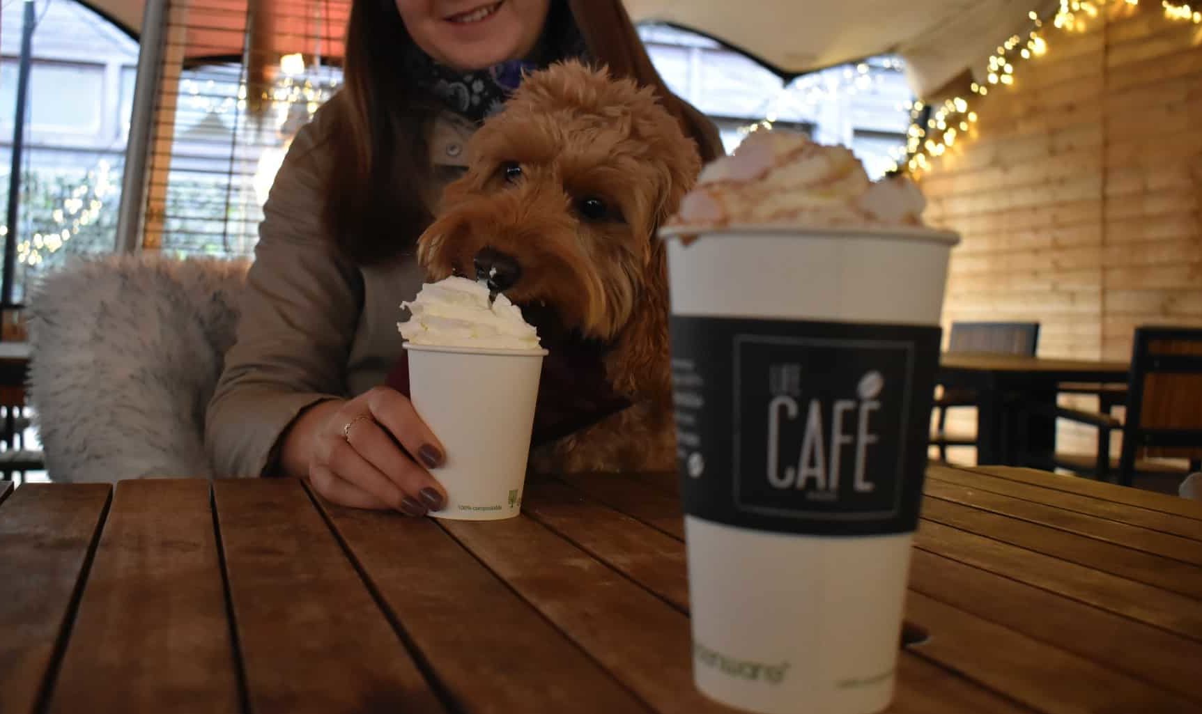 Stay Cosy This Winter Under This Heated Canopy At The Stables Cafe