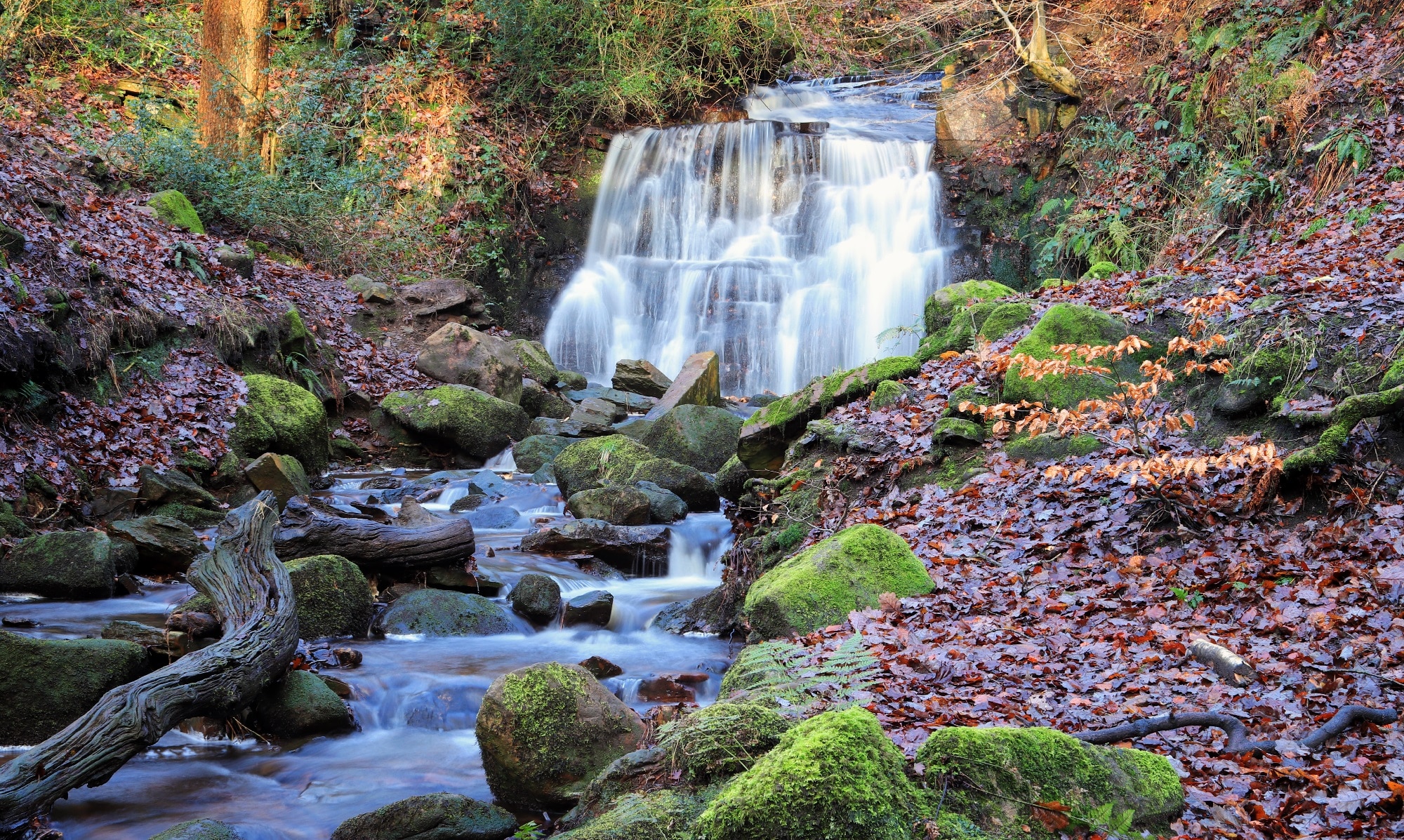 The Best And Most Wonderful Waterfalls Near Manchester