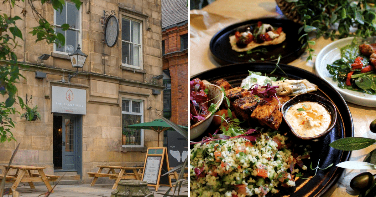 The Allotment Named One Of The Best Vegan Spots In The World