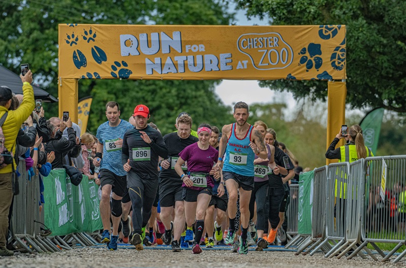 Run Past Elephants And Giraffes At This Chester Zoo Charity Run