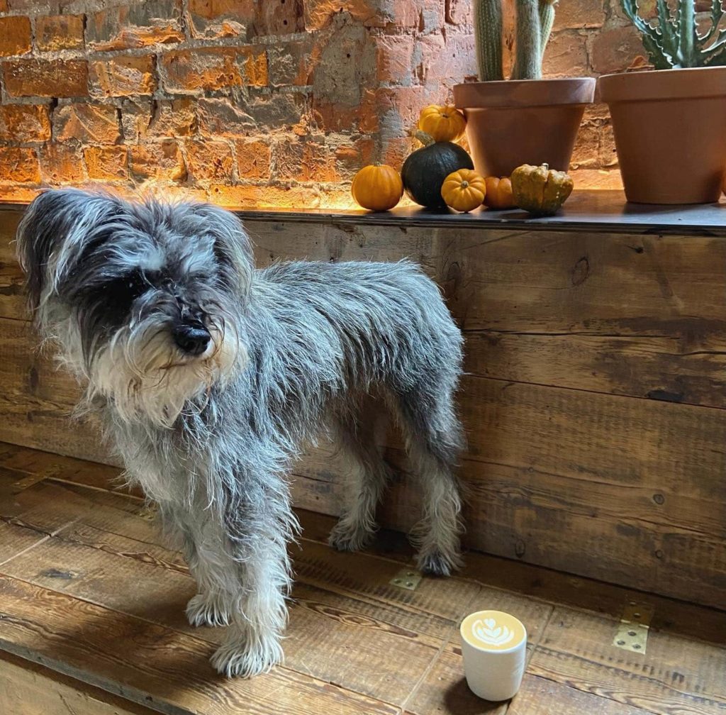 9 Quirky Coffee Shops In Manchester To Get Your Caffeine Fix