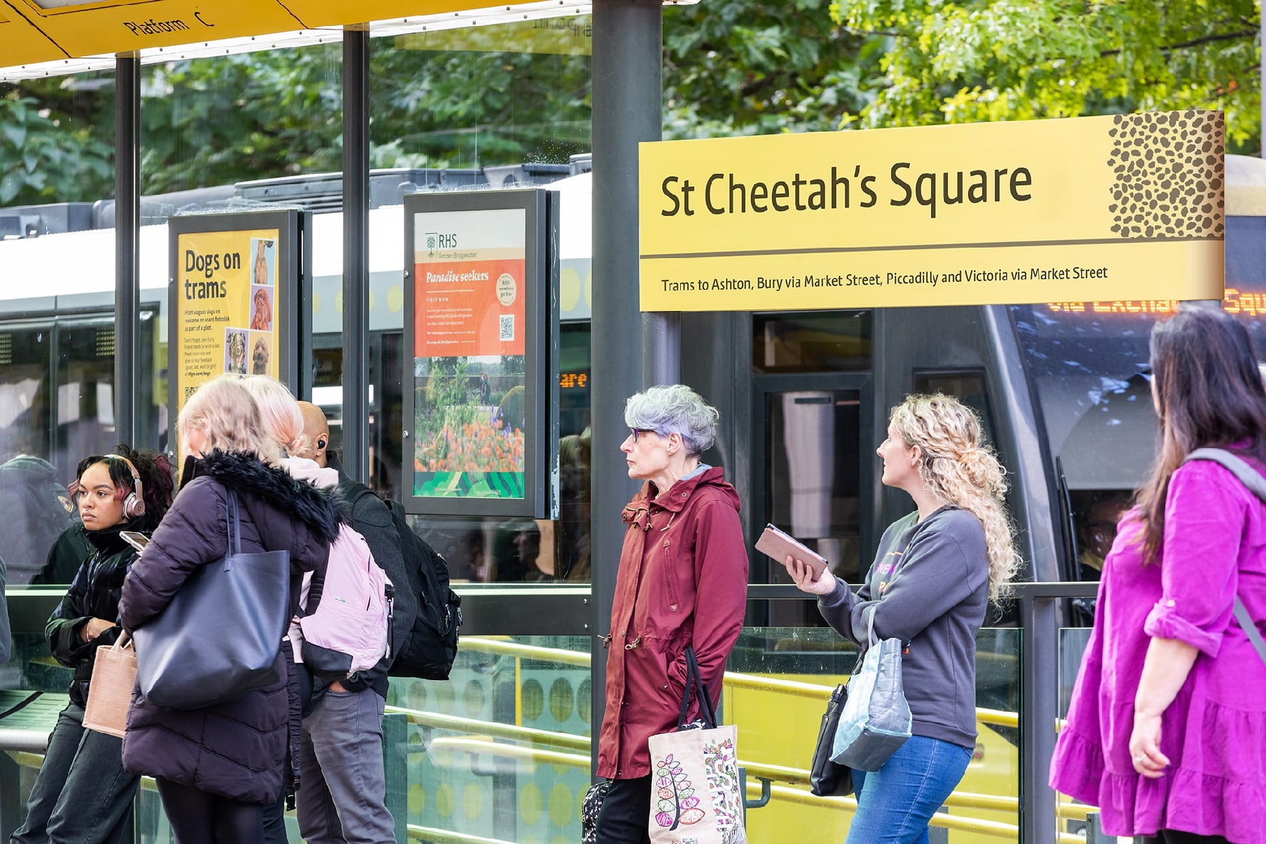 St Peter's Square Metrolink Station Renamed 'St Cheetah's Square'