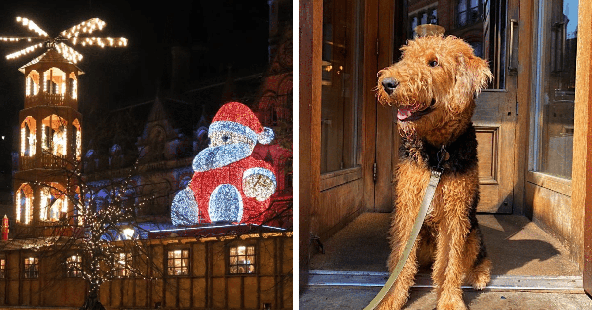 Manchester Christmas Markets Is One Of The UK's Most Dog-Friendly