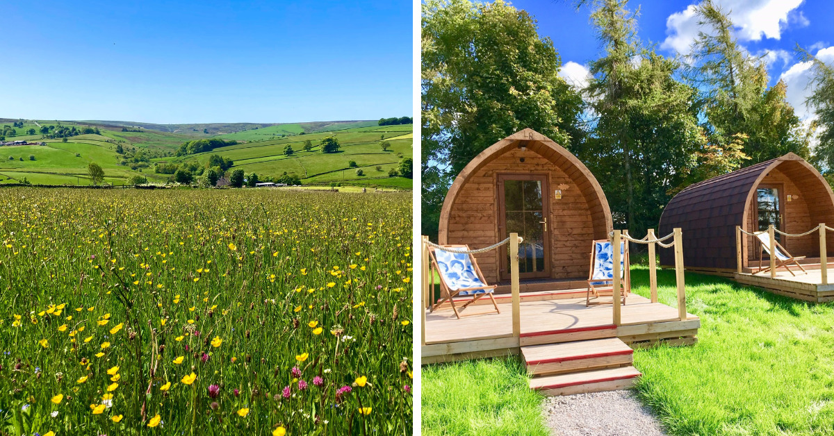 Longnor Wood Holiday Park Named The UK's Best Glamping Spot - Secret ...