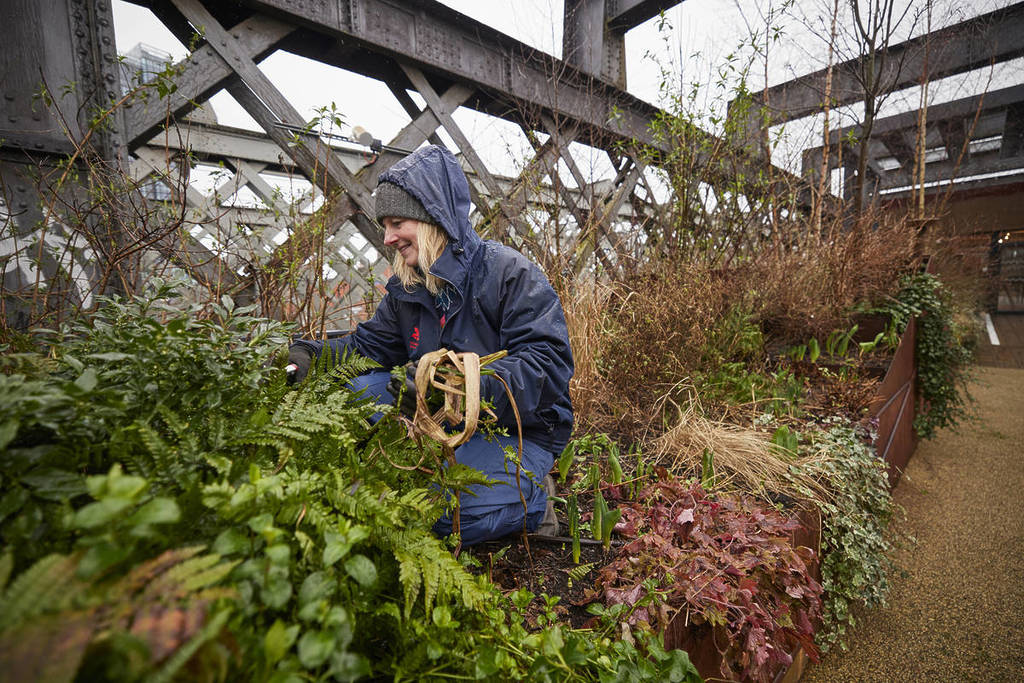 Castlefield Viaduct Is Reopening With New Community Workshop