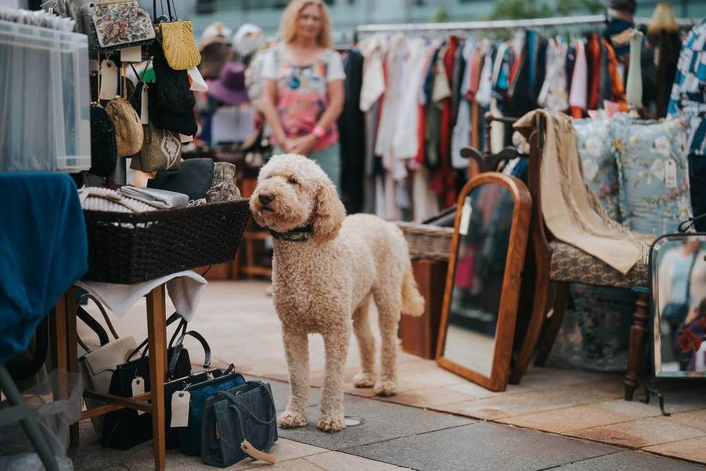 Car Boot Sale With Classic Cars & Fashion Returns To Salford