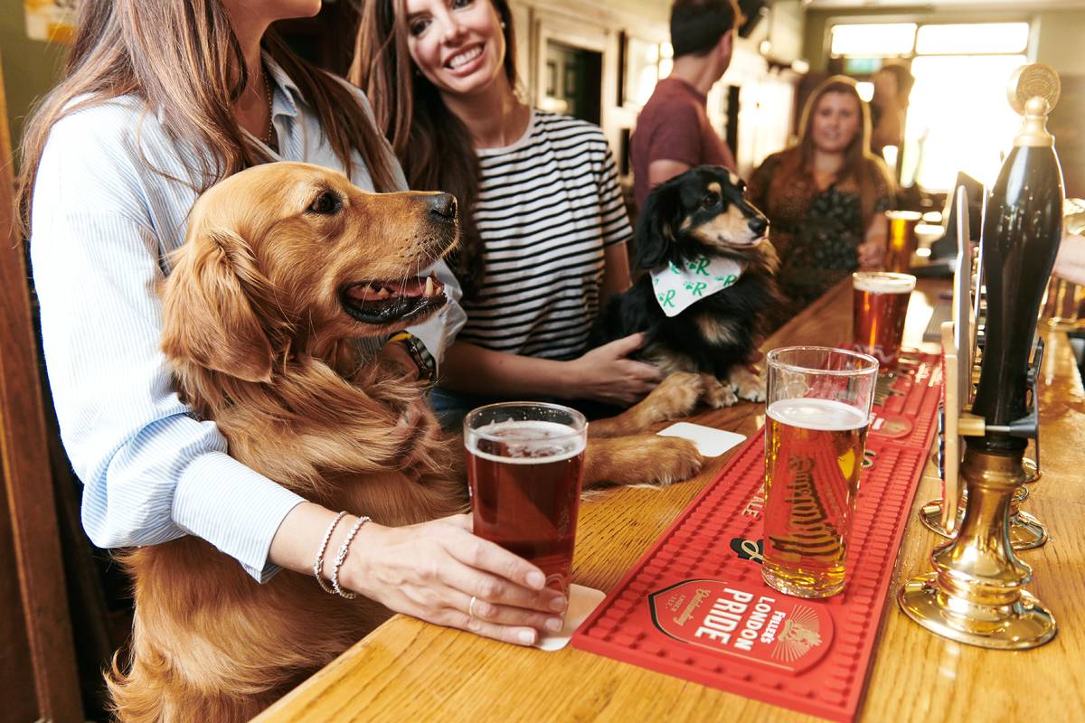 Get Paid To Go To Pubs And Judge The Most Dog-Friendly One