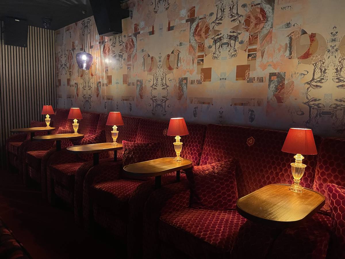 Luxurious Independent Cinema The Northern Light Opens In Sale