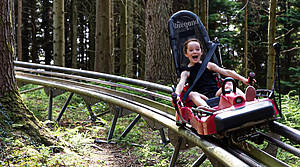 One Of The Only Two Alpine Coasters In The UK Is Located Just Two Hours ...