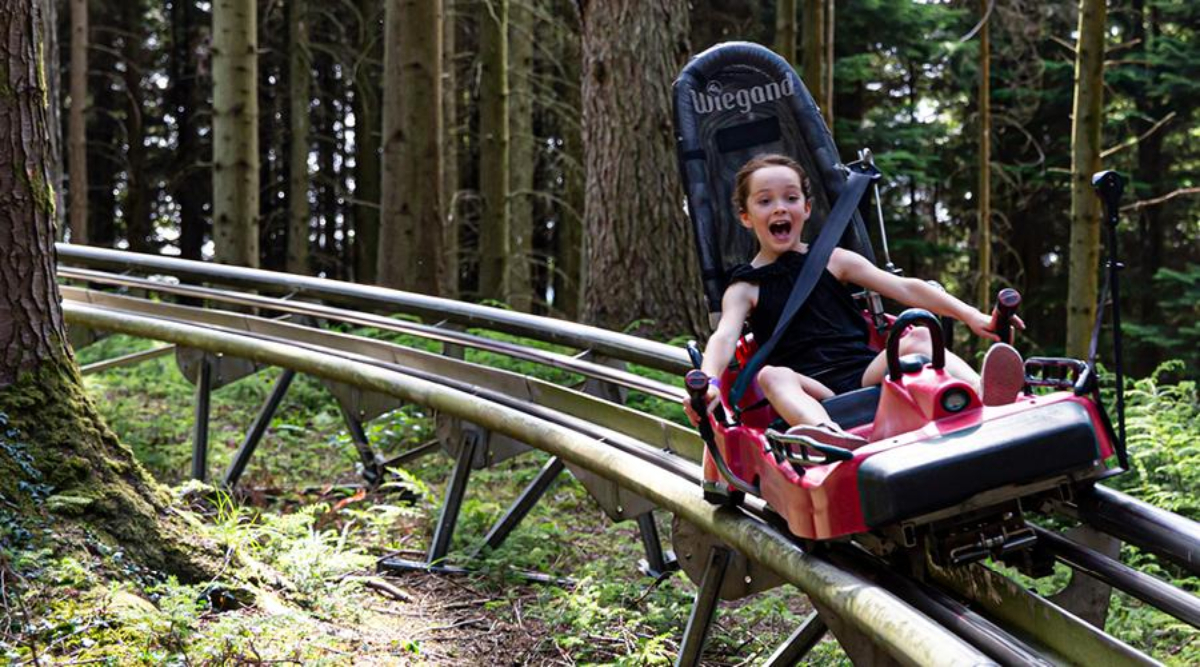 One Of The Only Two Alpine Coasters In The UK Is Located Just Two Hours ...
