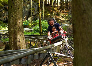 One Of The Only Two Alpine Coasters In The UK Is Located Just Two Hours ...