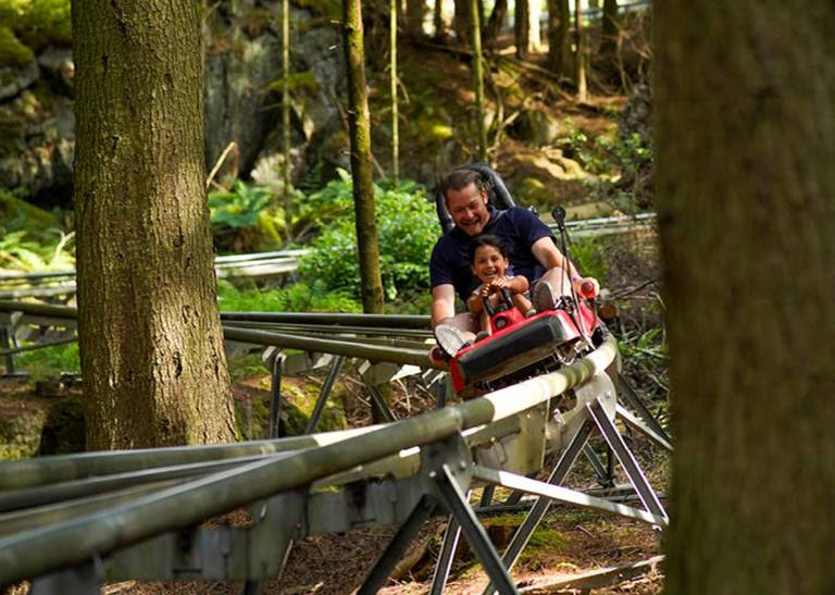 One Of The Only Two Alpine Coasters In The UK Is Located Just Two Hours ...