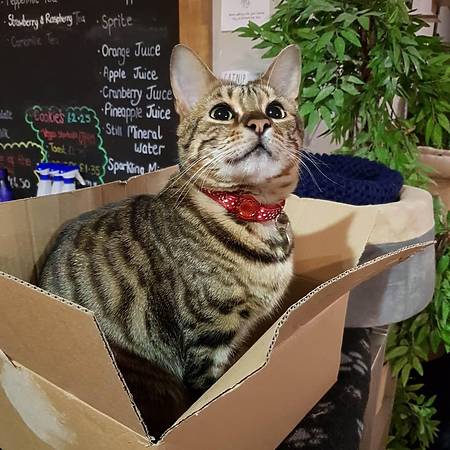 The Best New Manchester Restaurants To Try This April