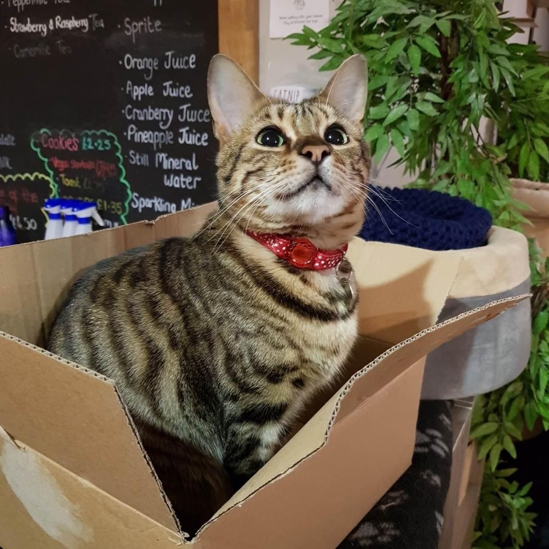 The Best New Manchester Restaurants To Try This April