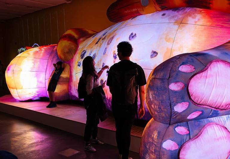 The Huge, Inflatable Cat Installation At Manchester Museum