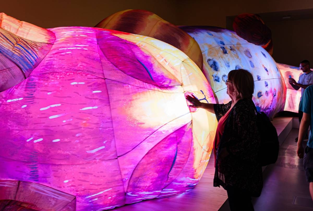 The Huge, Inflatable Cat Installation At Manchester Museum