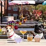 The Didsbury Dozen: A Guide To Manchester's Favourite Pub Crawl