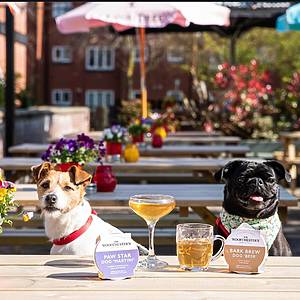 The Didsbury Dozen: A Guide To Manchester's Favourite Pub Crawl