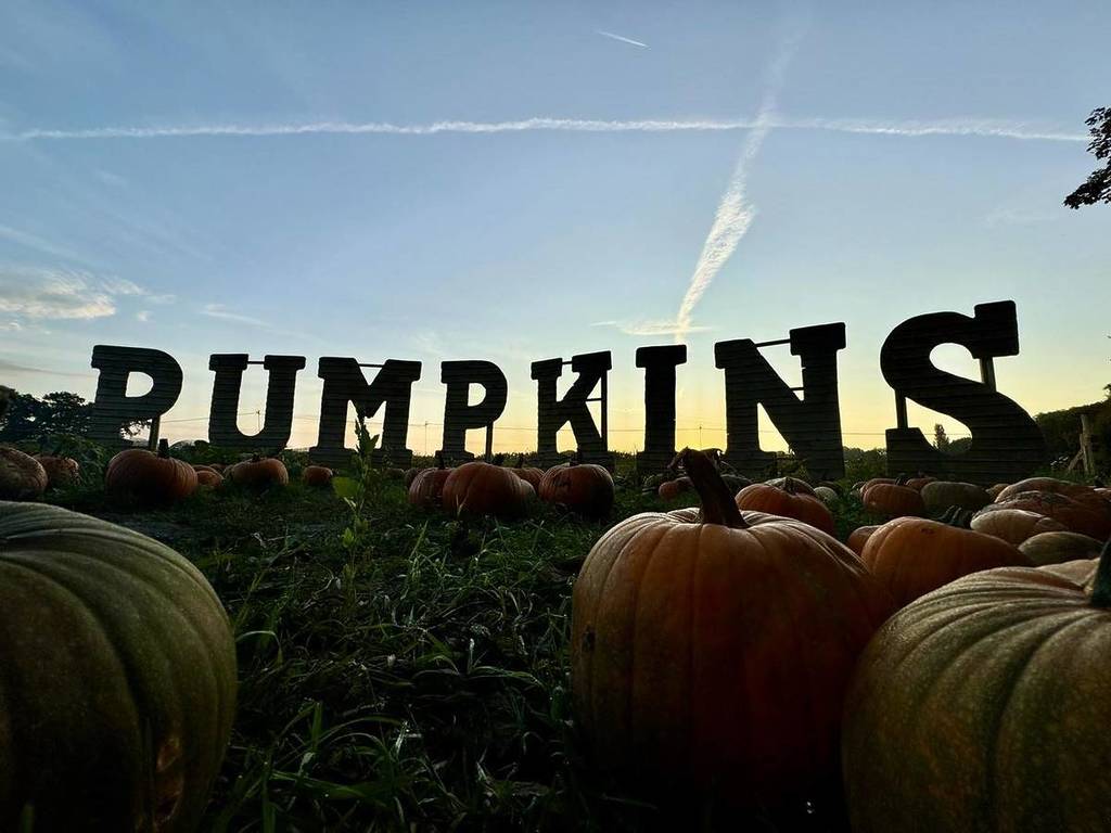 This 500-Acre Farm Just 30 Minutes From Manchester Boasts A Huge ...