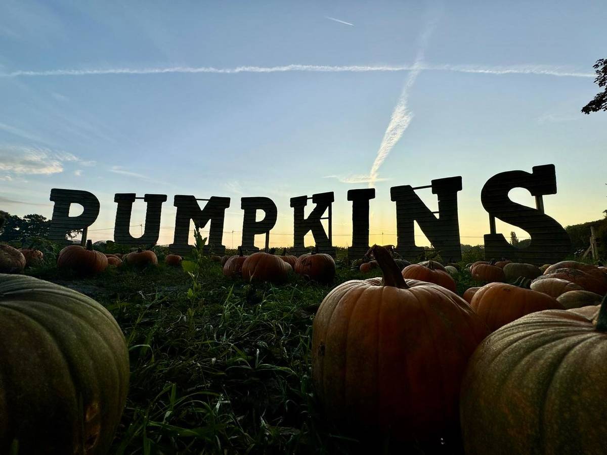 This 500-Acre Farm Just 30 Minutes From Manchester Boasts A Huge ...