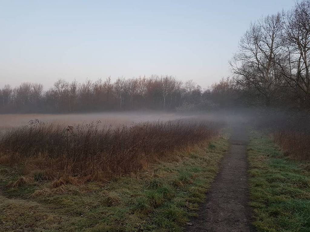 The Eerie 190-Acre Greater Manchester Wood Full Of Folklore And ...