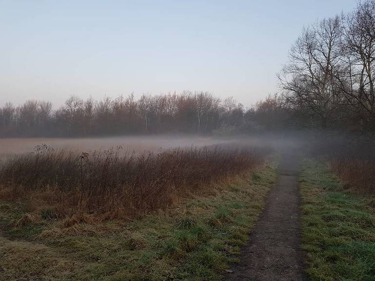 The Eerie 190-Acre Greater Manchester Wood Full Of Folklore And ...