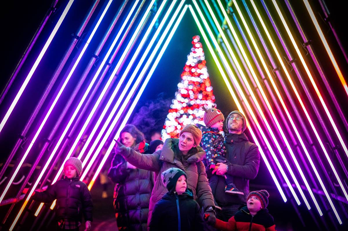 A Festive Illuminated Light Trail Surrounded By Exotic Animals Is ...