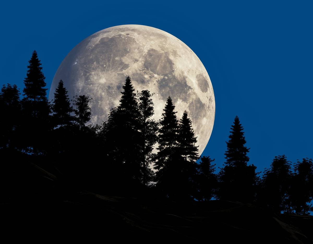 A Wolf Moon Supermoon Will Rise Over Manchester This Weekend ...