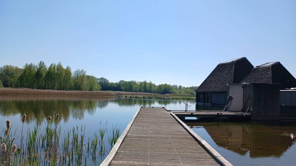 This former gravel quarry is now a stunning wildlife reserve just 45 ...
