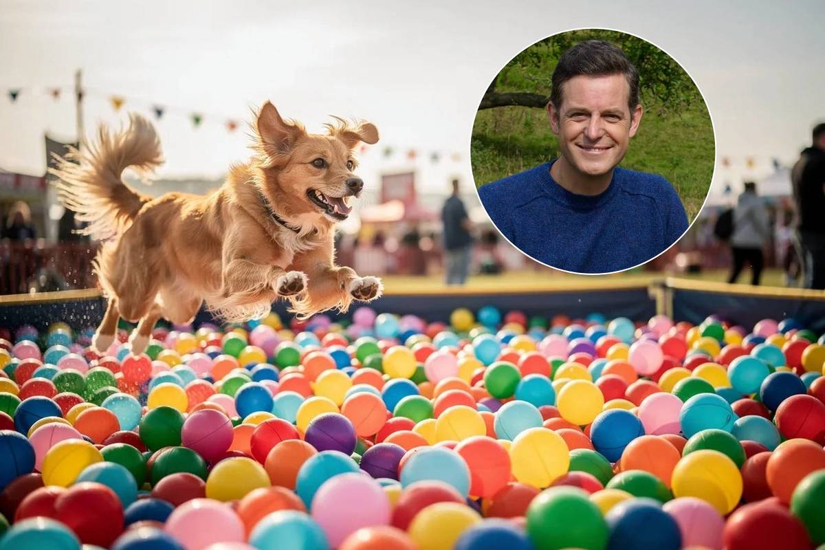Matt Baker is bringing a pop-up countryside pub to this huge dog-loving ...