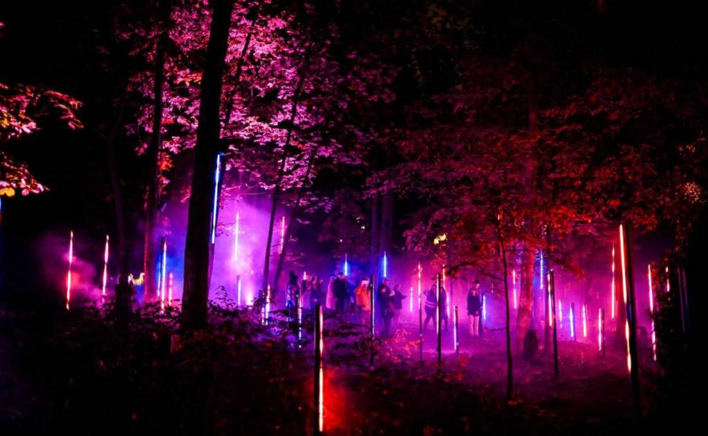 Get Your Tickets For The Stunning Light Cycles Trail Near St. Louis