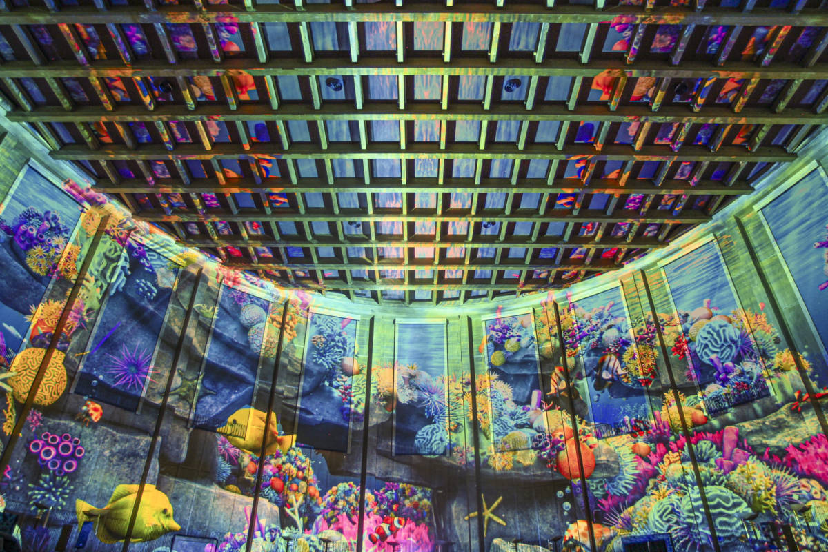 Pixel Zoo Ocean arriva a Firenze: un'esperienza incredibile!