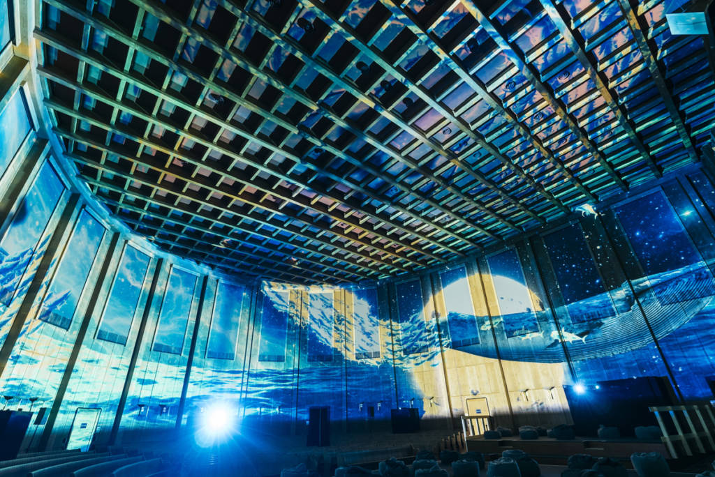 Pixel Zoo Ocean arriva a Firenze: un'esperienza incredibile!