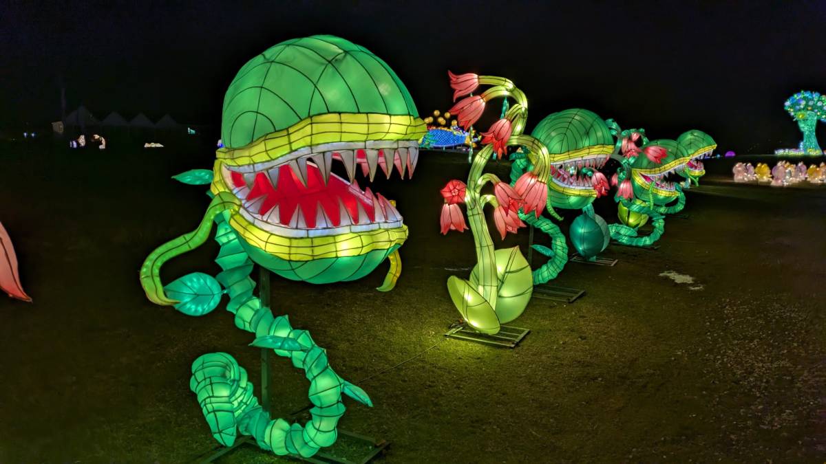 The SeaLight Festival Featuring Hundreds Of Lanterns Opens Soon In ...