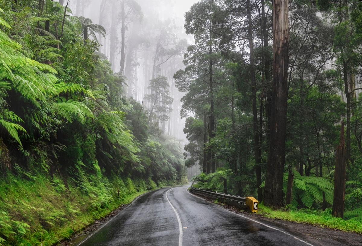 Scenic Drives Near Melbourne That Will Make Driving A Delight